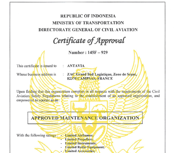 Antavia DGCA Certificate
